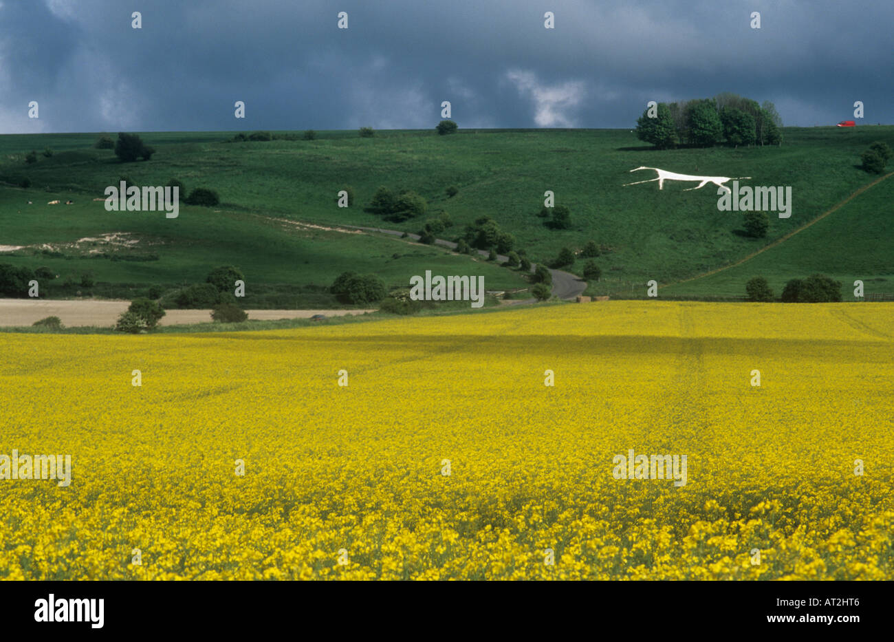 [white Horse] [chalk figure] Stock Photo - Alamy