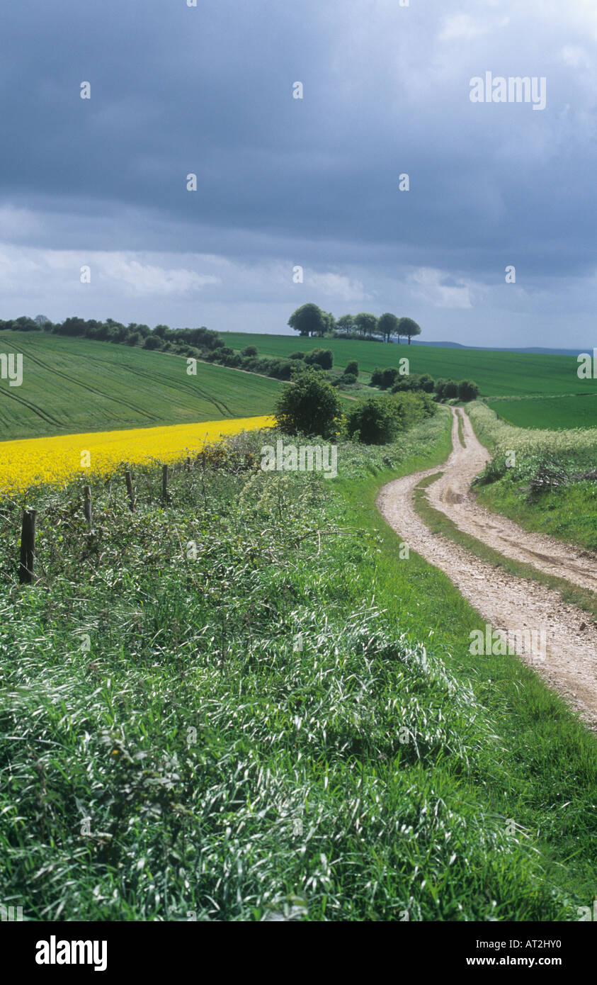 Ridgeway path summer hi-res stock photography and images - Alamy