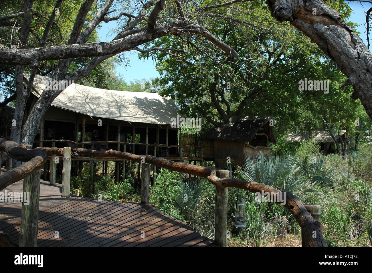 Tubu tree private safari lodge in Okavango Delta Botswana southern ...