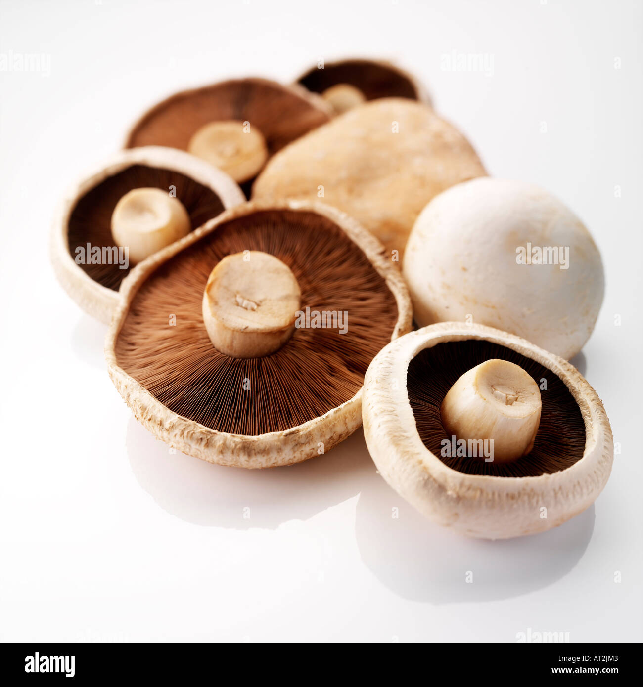 Mix Mushrooms 005 Stock Photo - Alamy