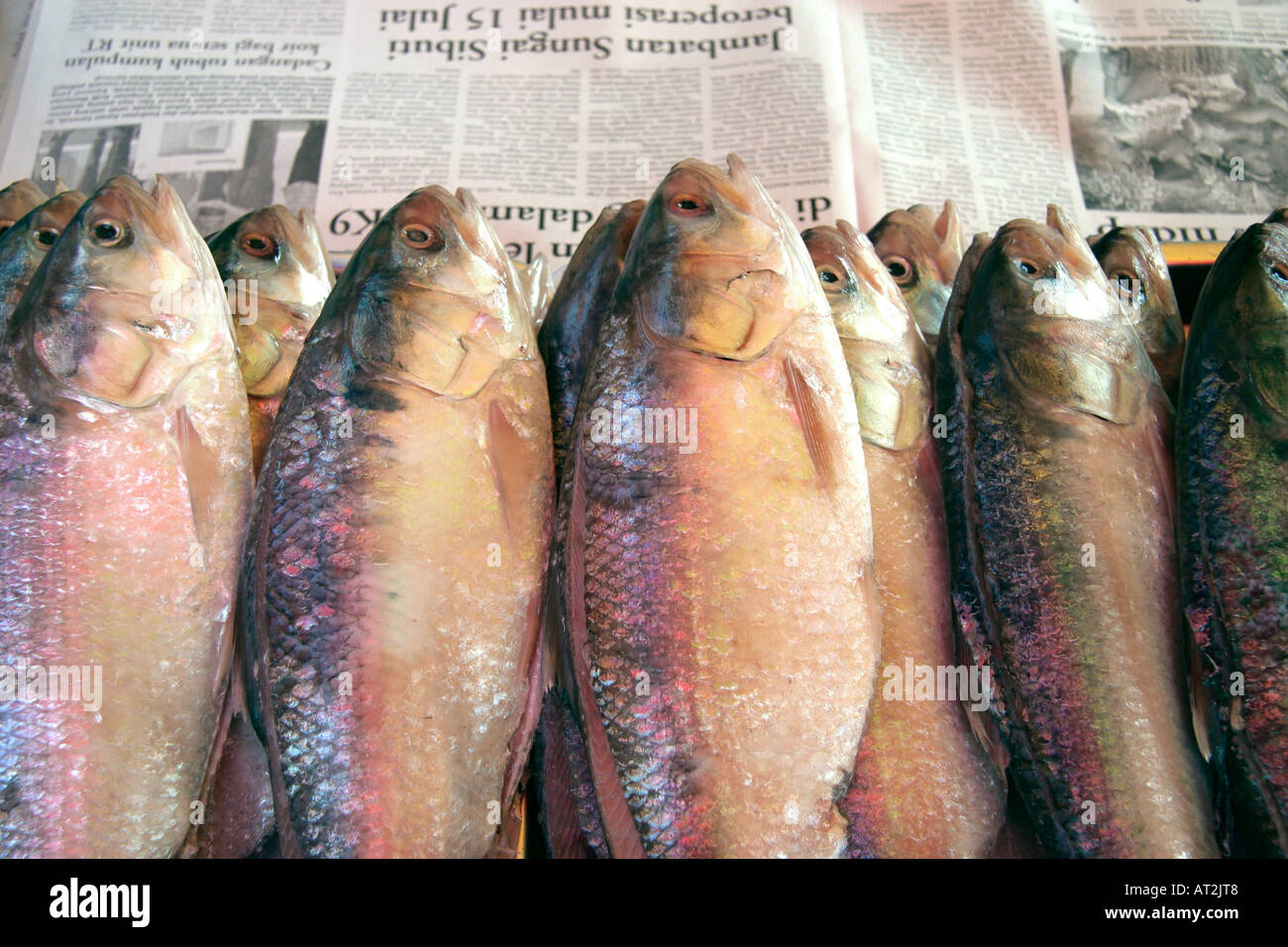 Fish market kuching malaysia hi-res stock photography and images - Alamy