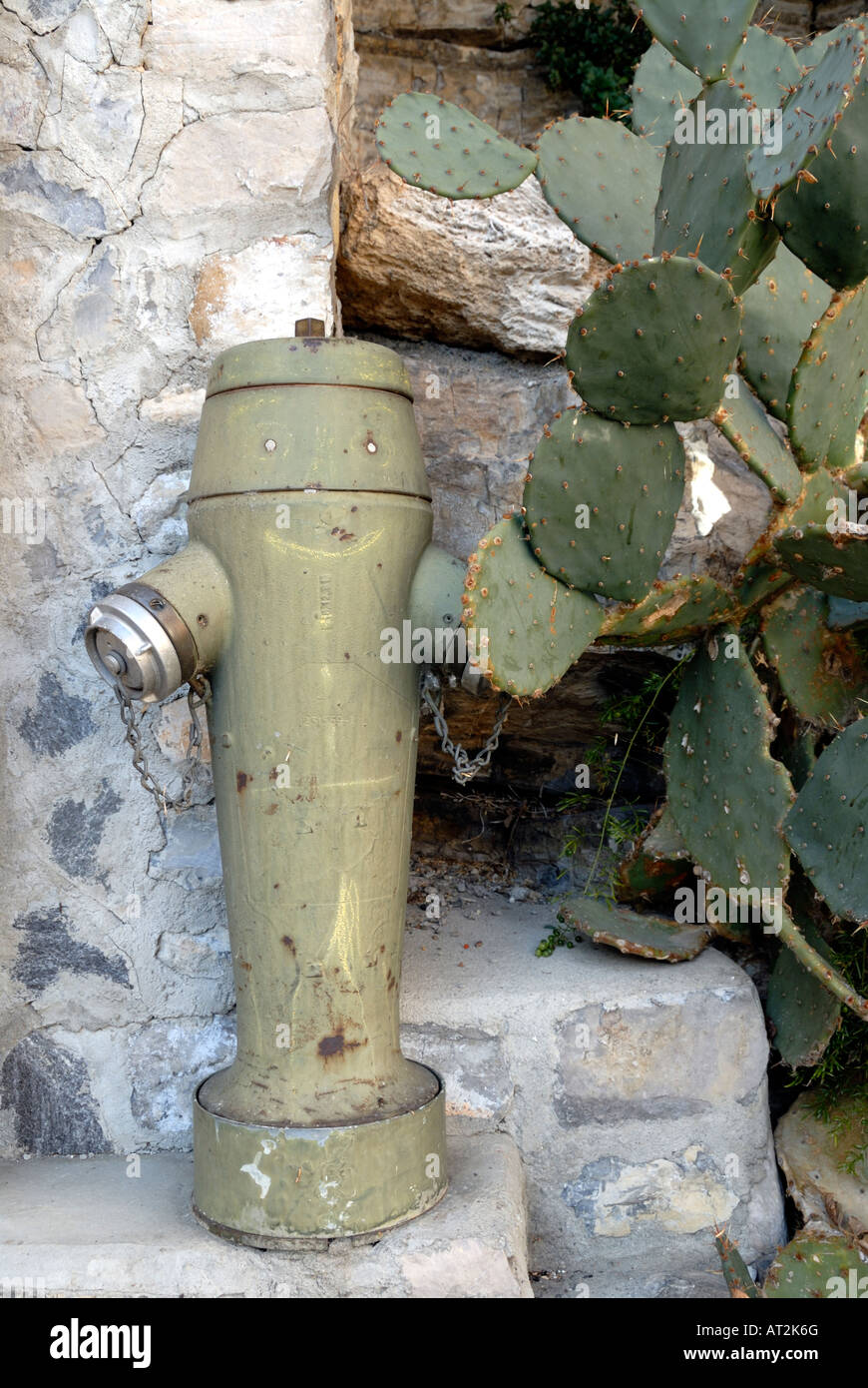 Smiling Fire-hydrant and Cactus in Gandria City Stock Photo - Alamy