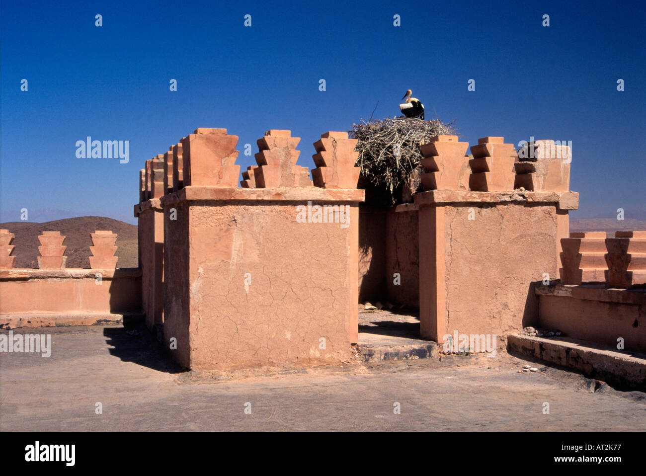Kasbah flat rooftop with migratory storks nesting, Tifoultoute High ...