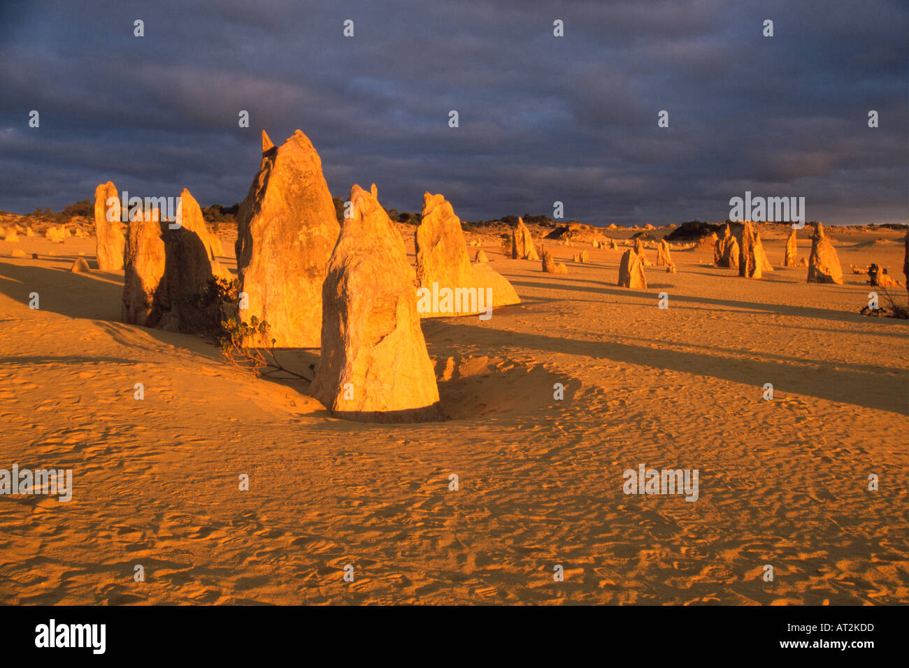 The pinnacles sunset, Nambung national park, Western Australia Stock ...