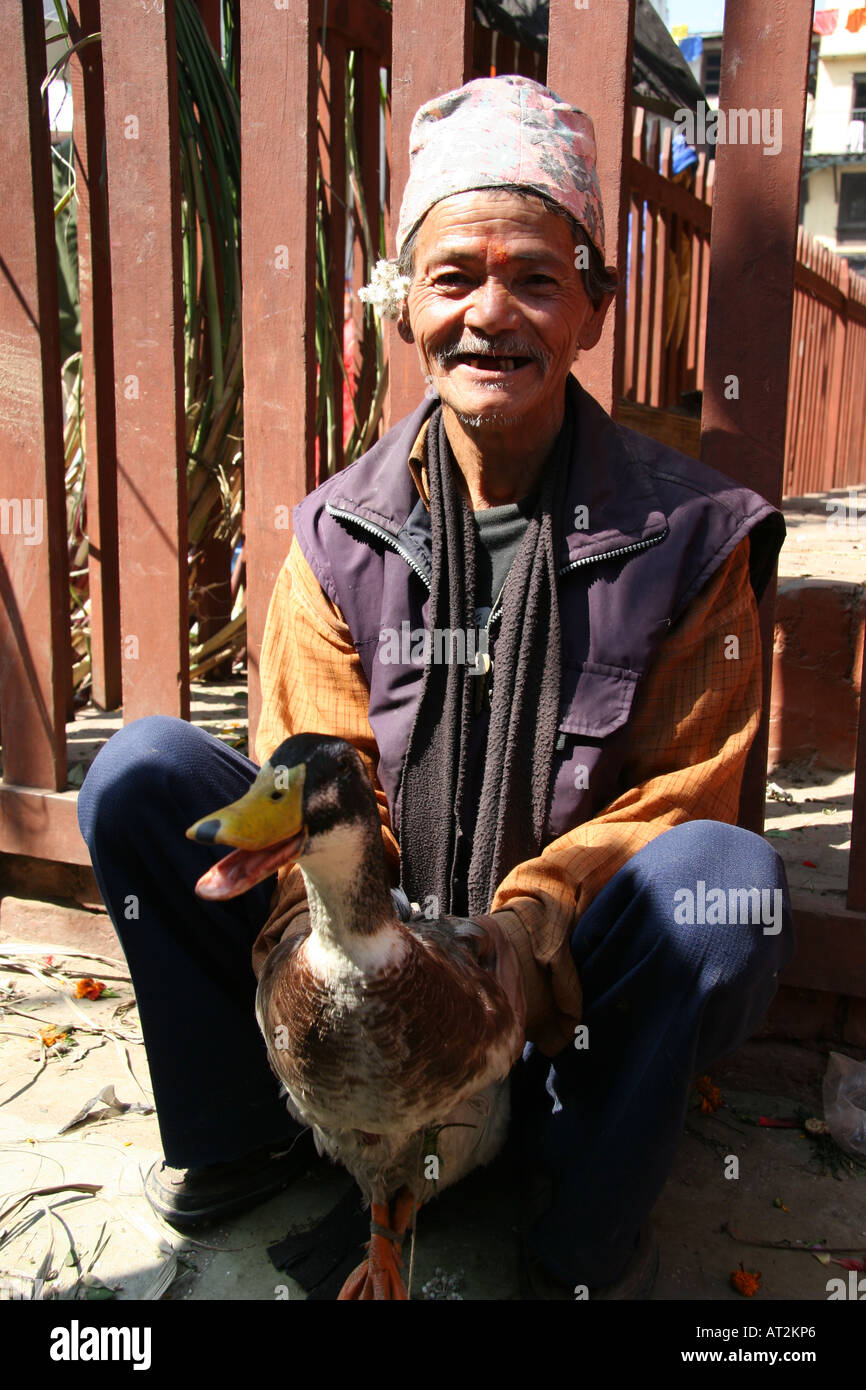 Regal duck hi-res stock photography and images - Alamy