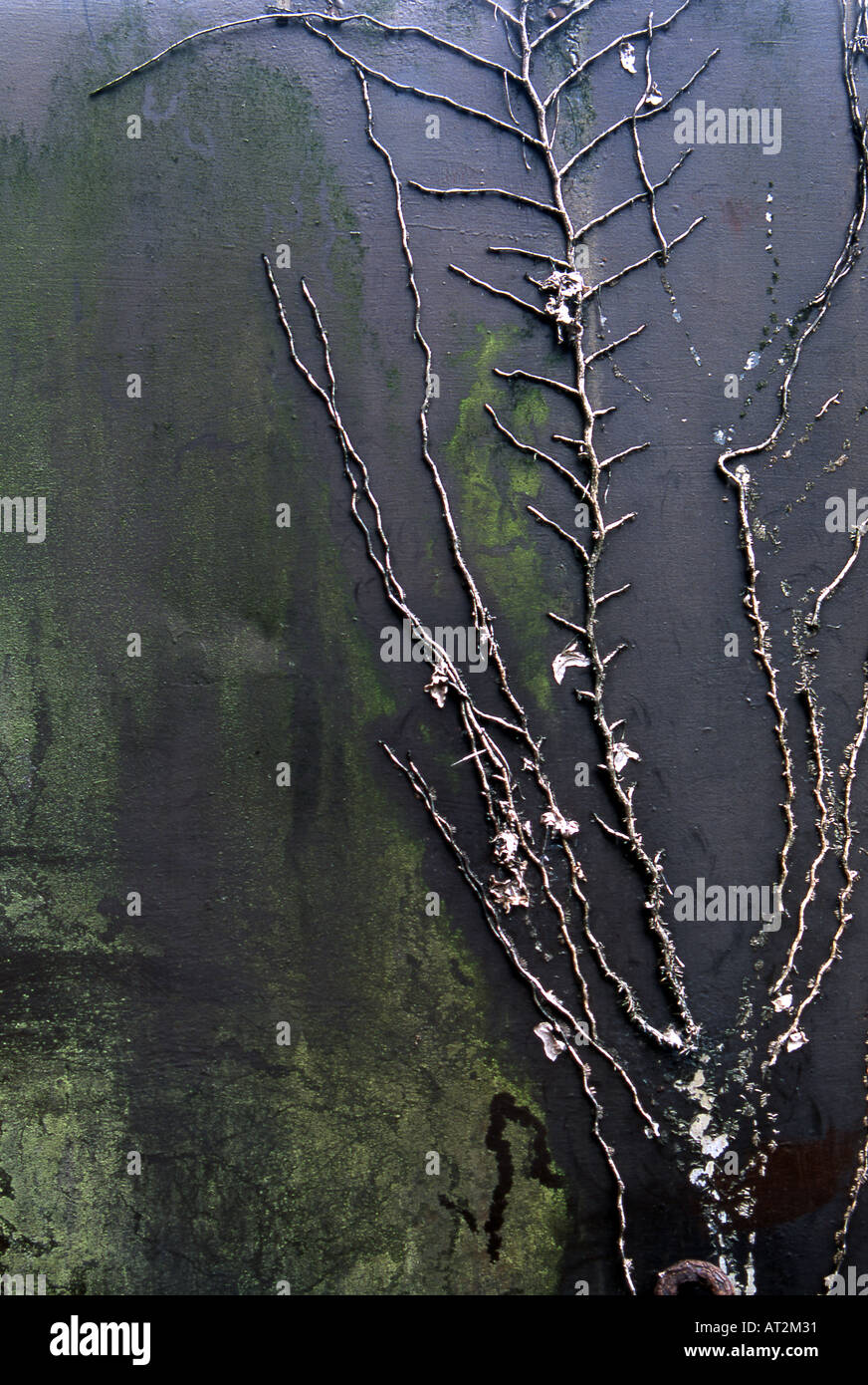 Dead ivy on metal wall Stock Photo - Alamy
