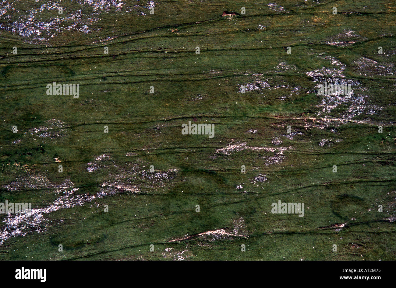 Sheep tracks hi-res stock photography and images - Alamy