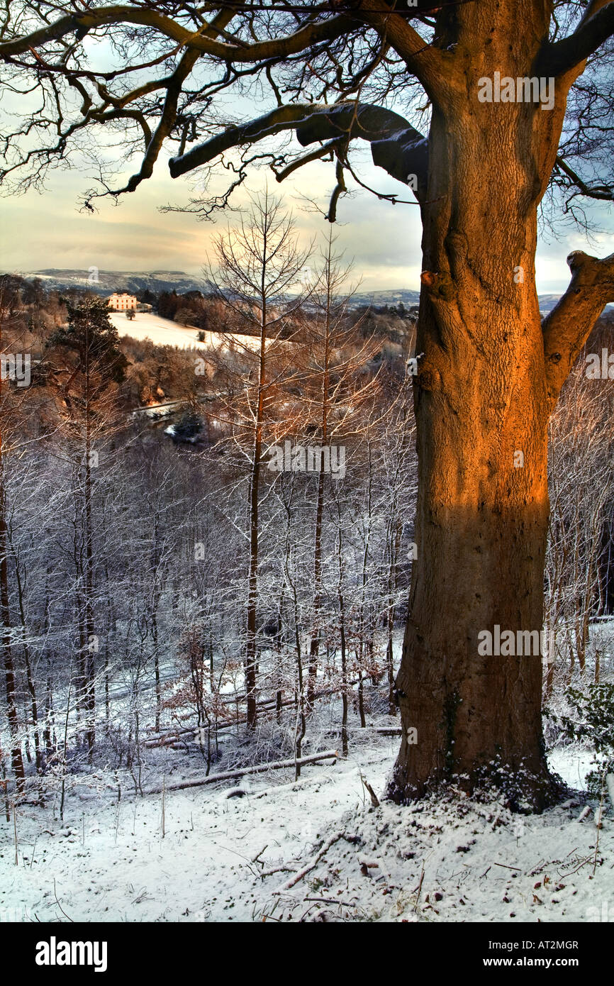 Malone park belfast hi-res stock photography and images - Alamy