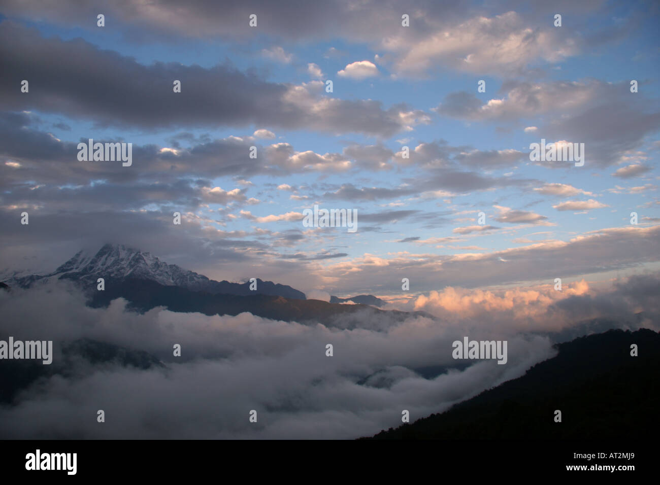 Tadapani hi-res stock photography and images - Alamy