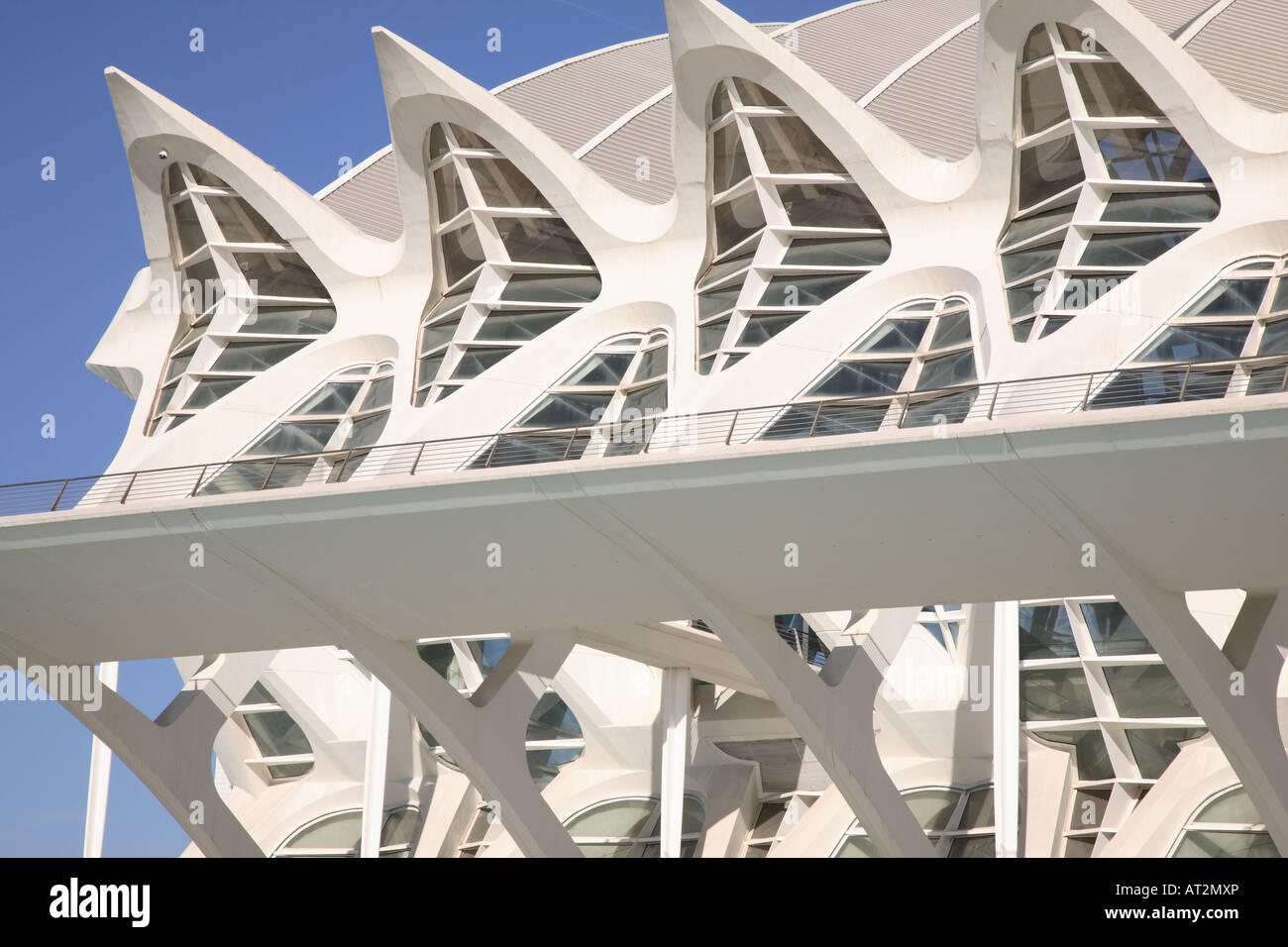Principe Felipe Science Museum, The Arts and Science City by Calatrava ...