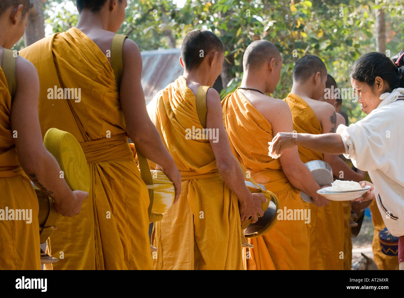 Offering alms to Monks in a forest temple Isan the north east of ...