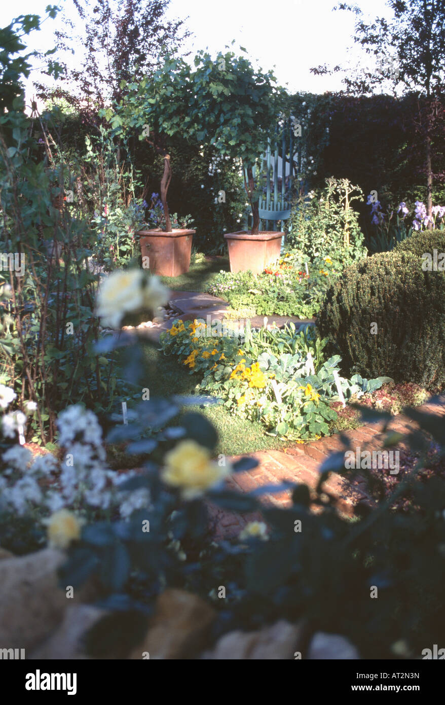 Clipped shrubs and square terracotta pots in country garden Stock Photo ...