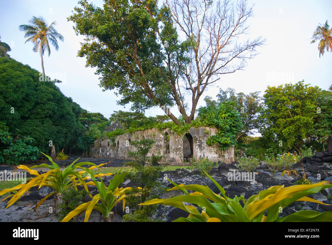 Lavafield of Saleaula MAUGA SAMOA Lava Field Savaii Western Samoa ...