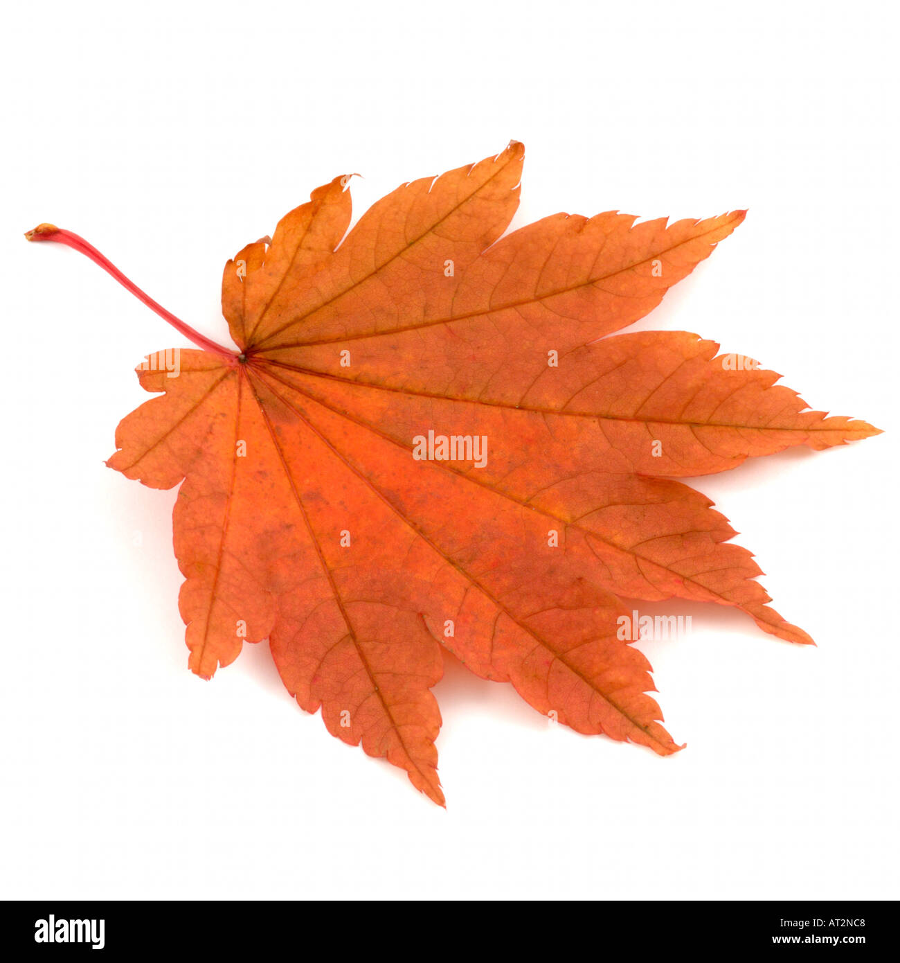 Ecological transition Cut Out Stock Images & Pictures - Alamy