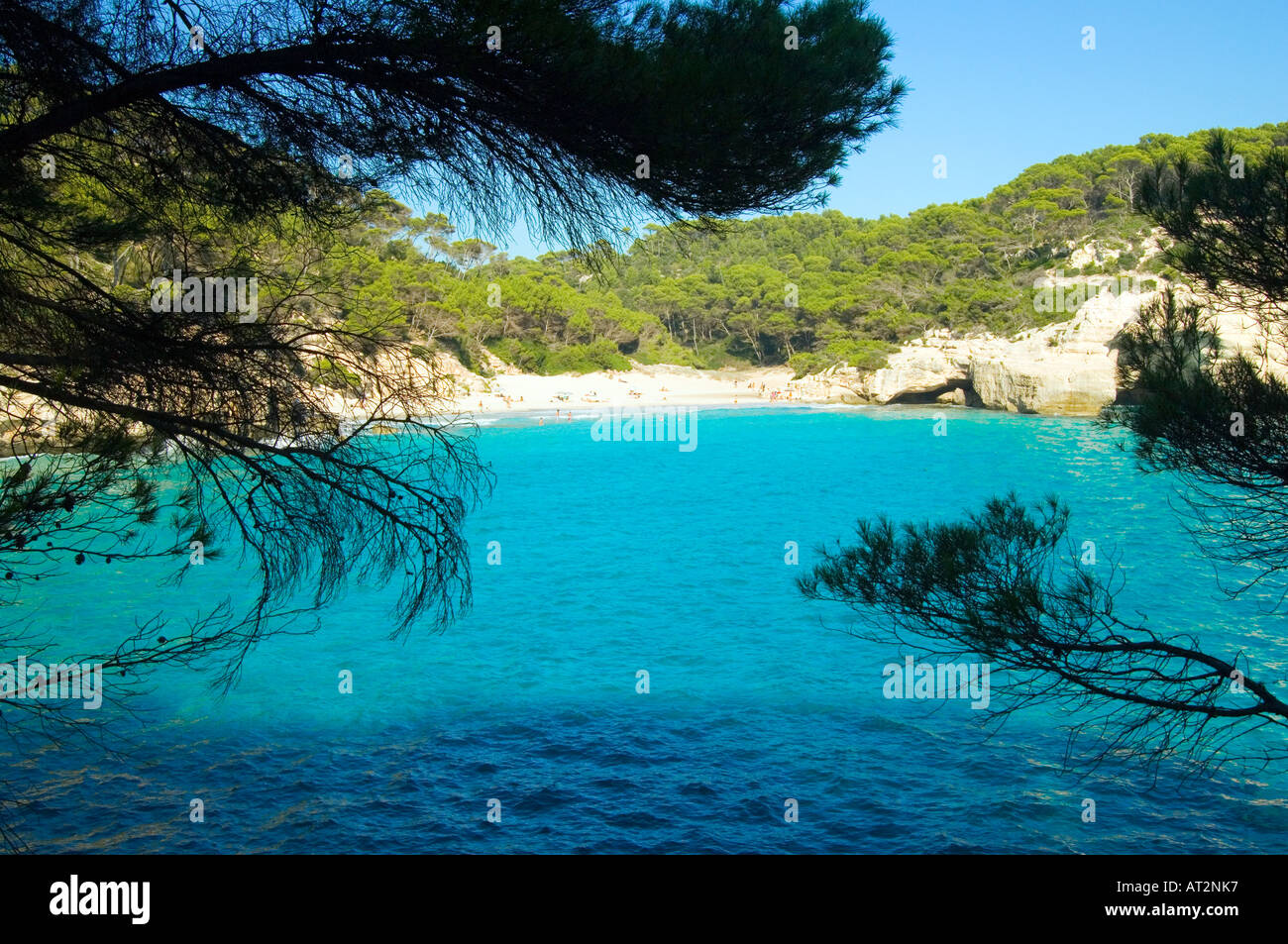 Cala Mitjana playa beach wooded cove Menorca Stock Photo - Alamy