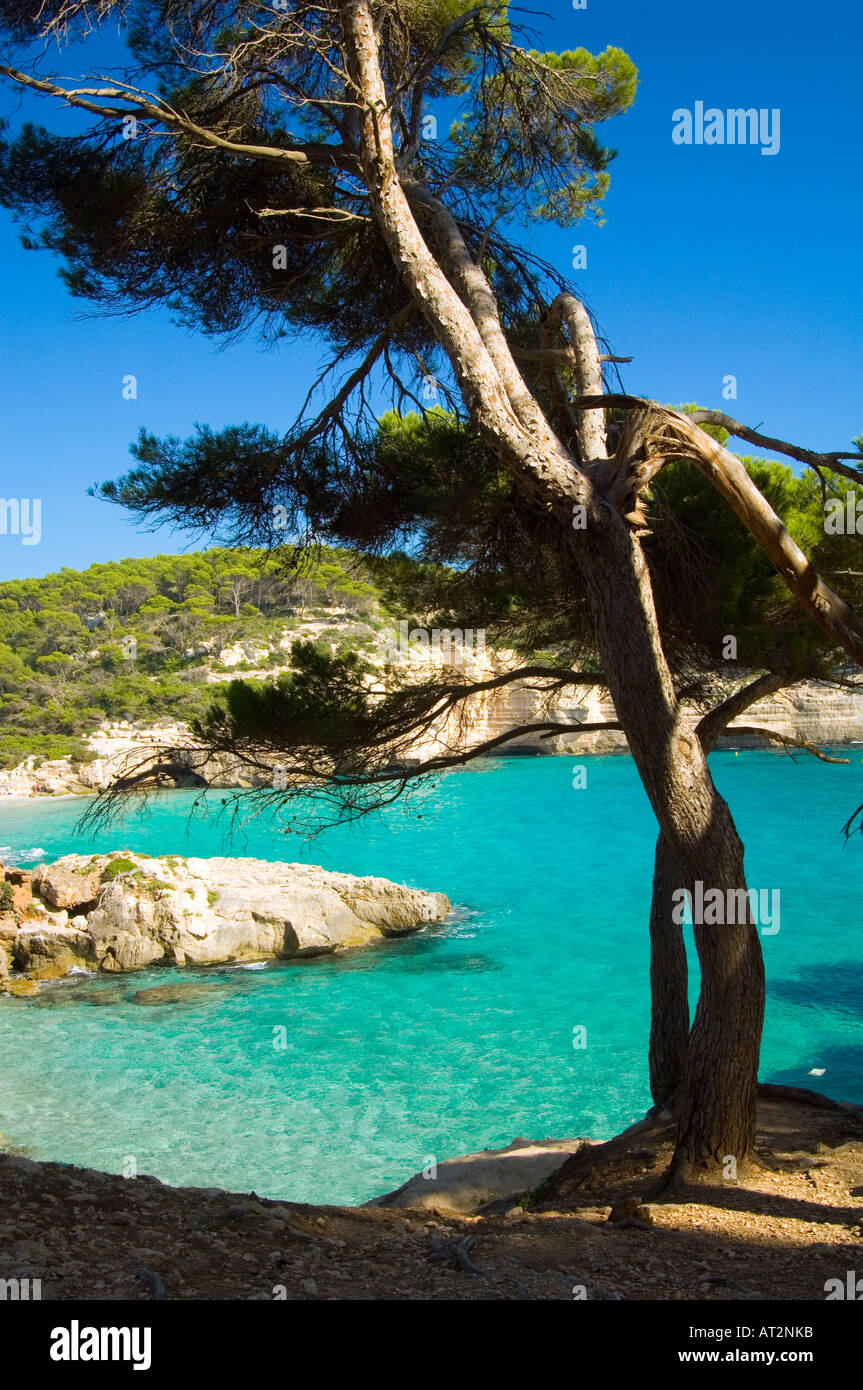 Cala Mitjana playa beach wooded cove Menorca Stock Photo - Alamy