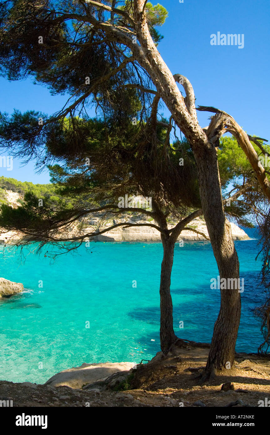 Cala Mitjana playa beach wooded cove Menorca Stock Photo - Alamy