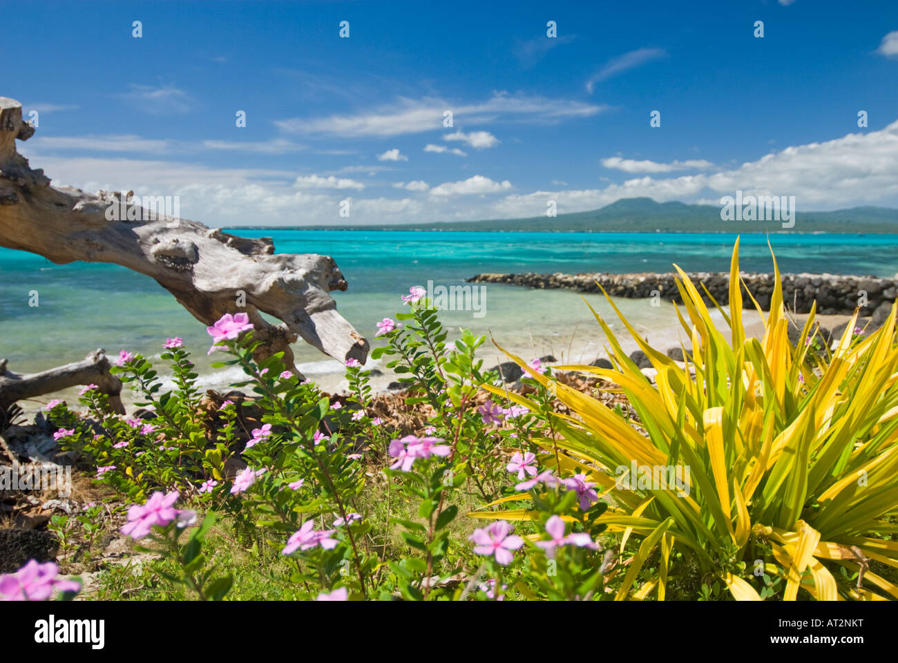 SAMOA Islands UPOLU Polynesia Serene Manono Island with no vehicles or ...