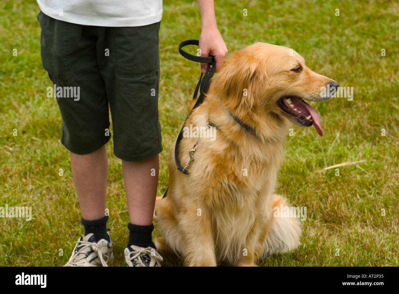 Leash holding hi-res stock photography and images - Alamy