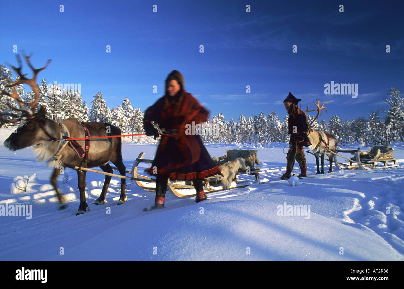 Saami hi-res stock photography and images - Alamy