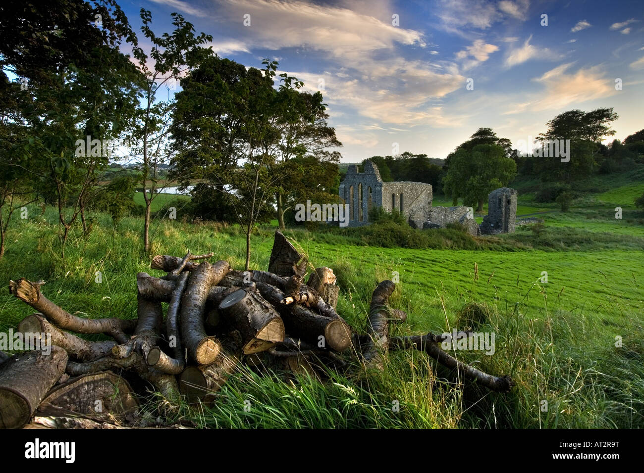 Inch abbey ruins hi-res stock photography and images - Alamy