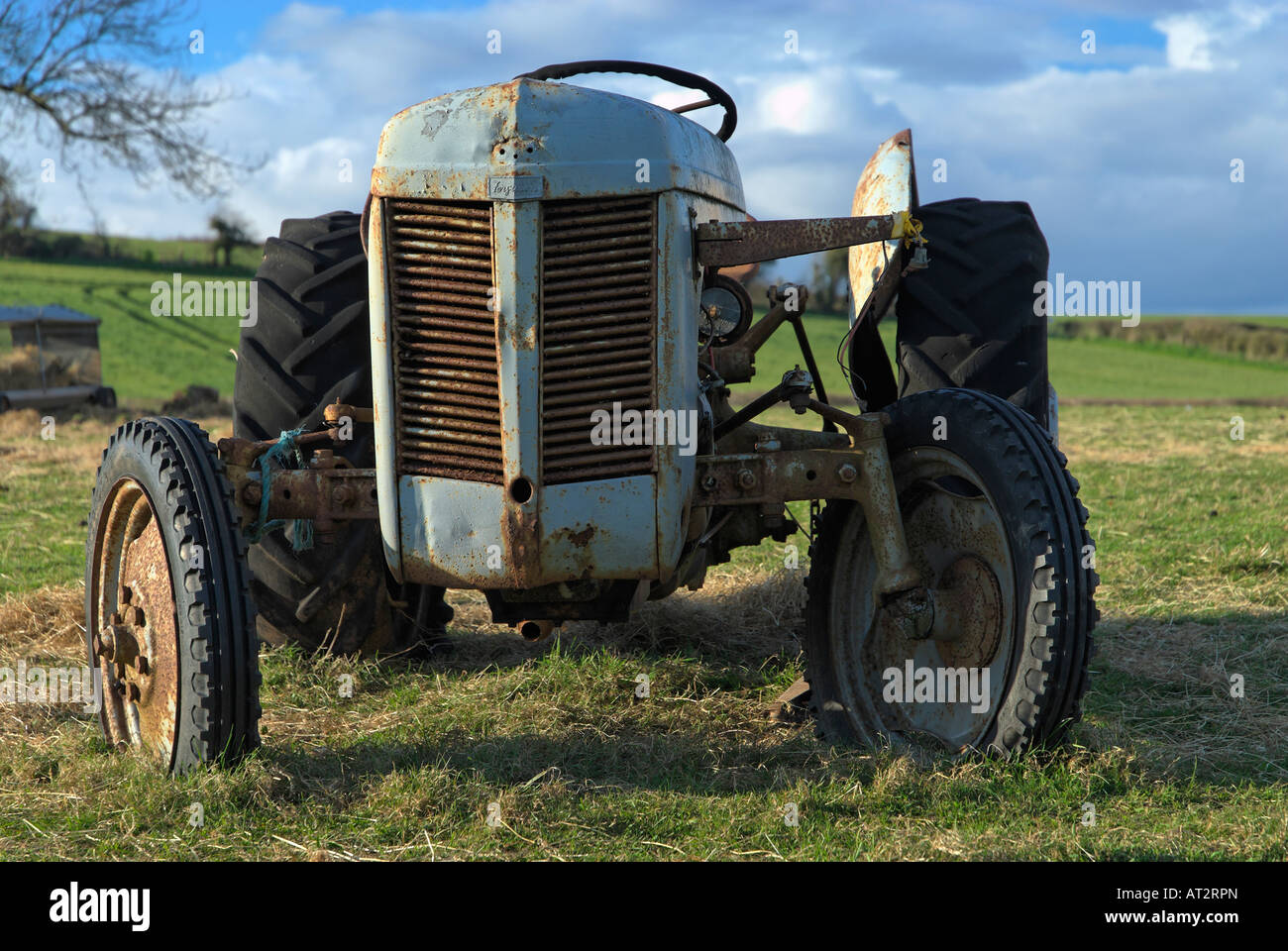 Old Ferguson tractor in a Somerset field Stock Photo - Alamy