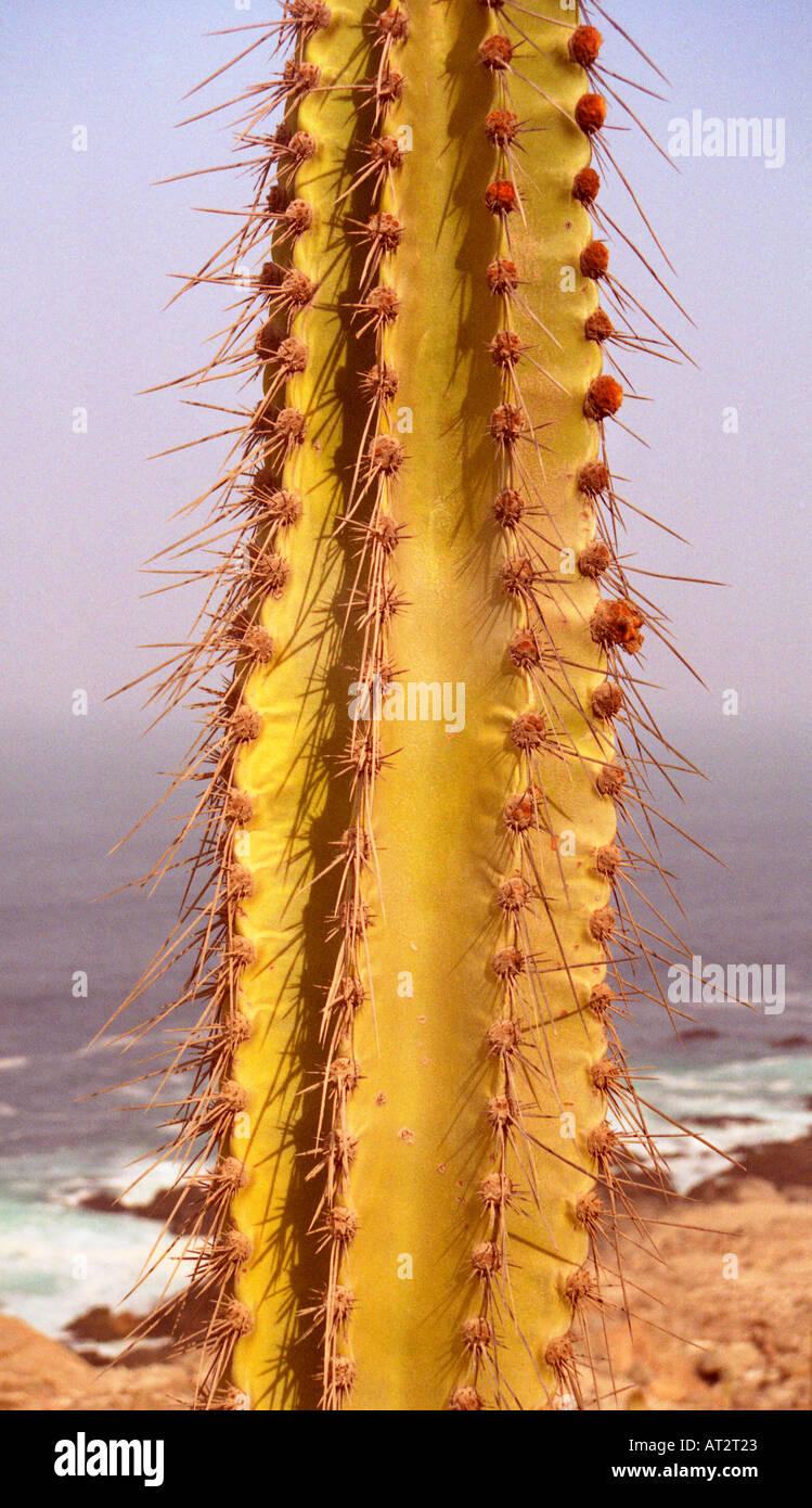 Desert coast in peru hi-res stock photography and images - Alamy