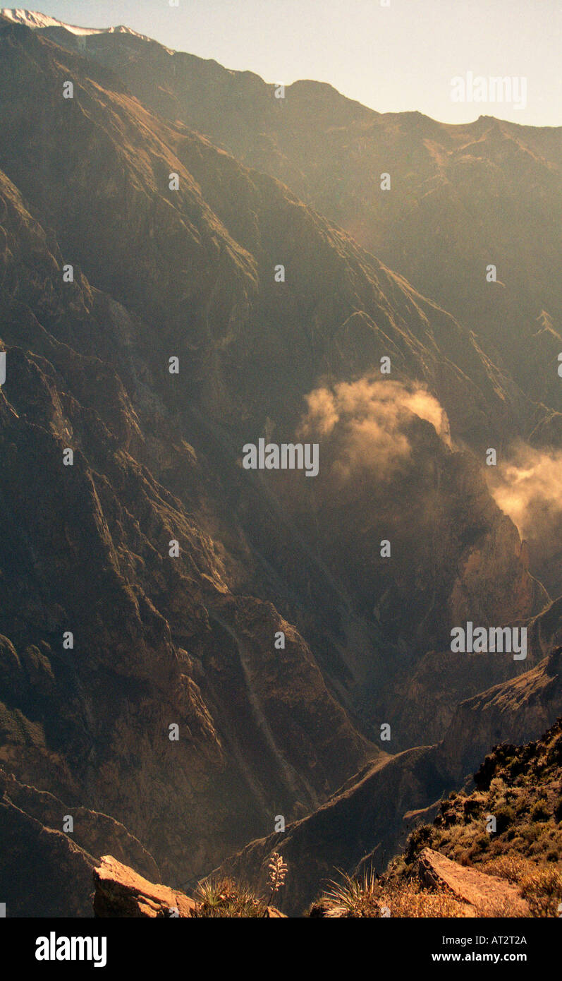 Cruz del Condor, Canon del Colca, Peru Stock Photo - Alamy