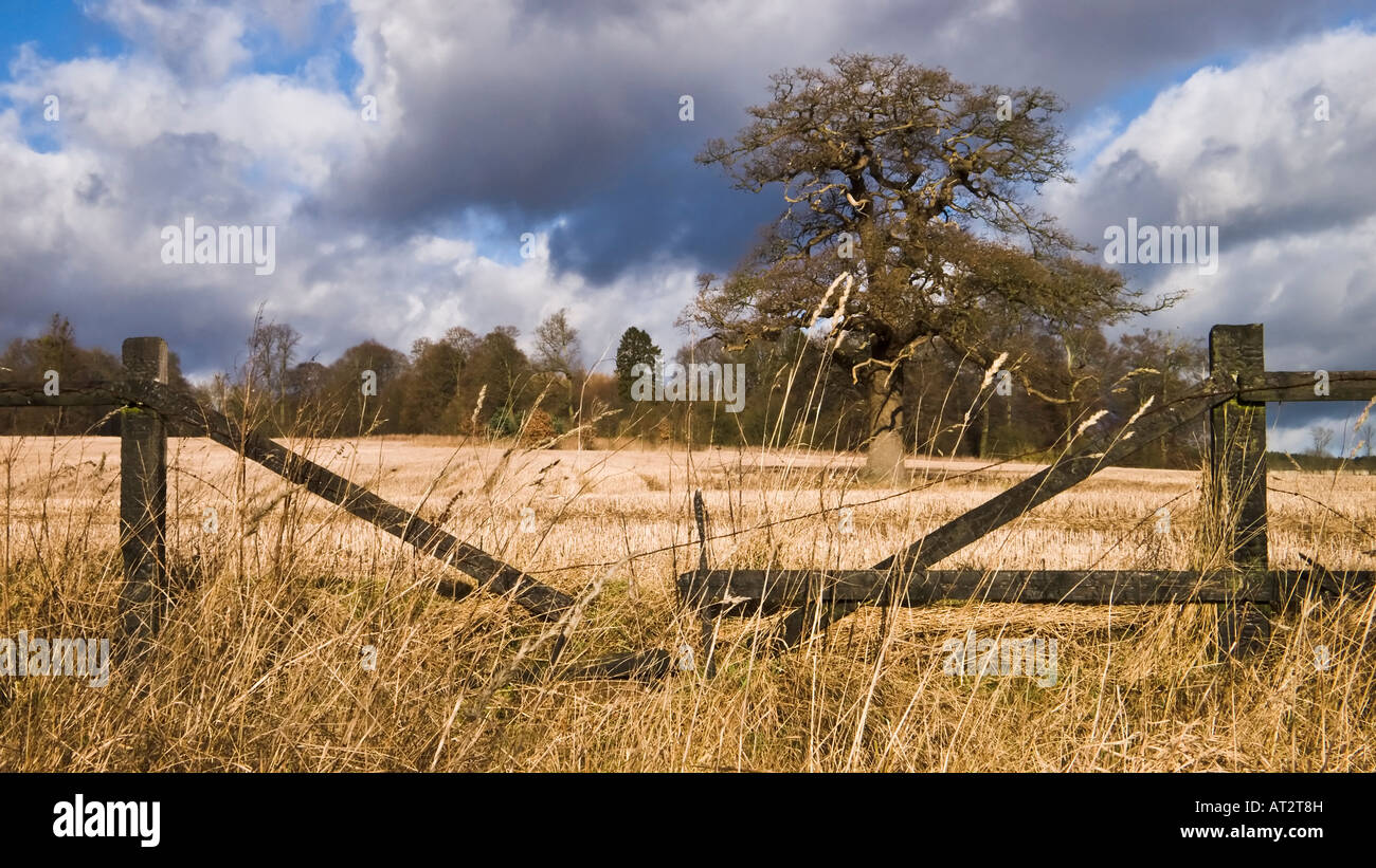 Landscape with broken fence in the Chilterns, England, UK Stock Photo ...