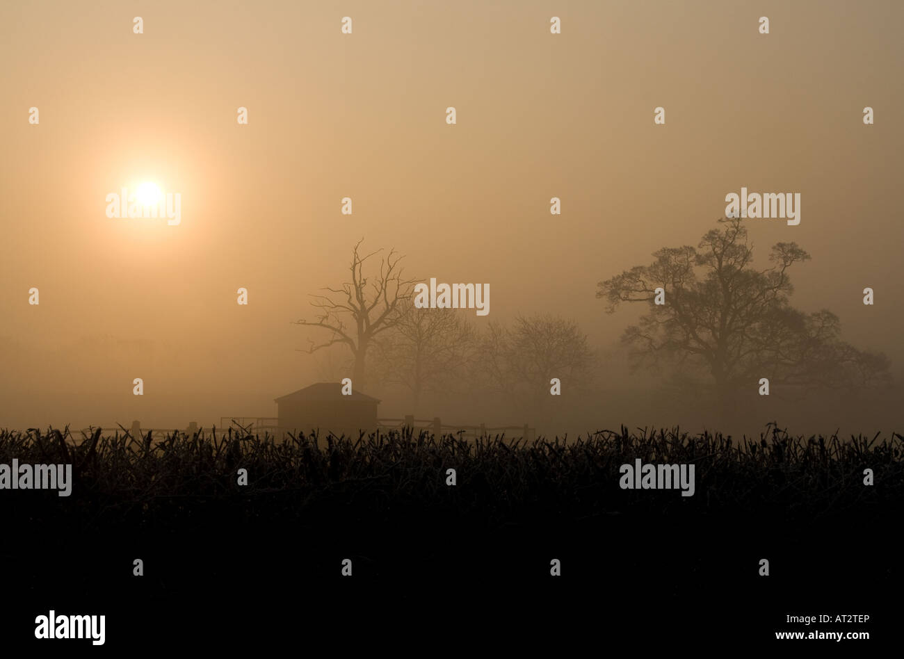 Barcombe hi-res stock photography and images - Alamy