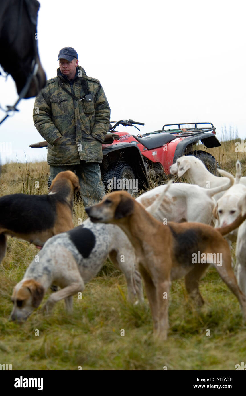 Fox hunting,pack of hounds and supporter with quad bike Stock Photo - Alamy