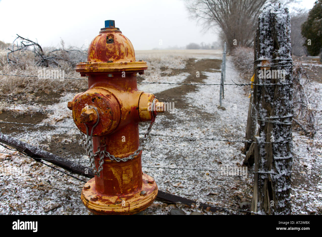 Fire hydrant on cold winter hi-res stock photography and images - Alamy