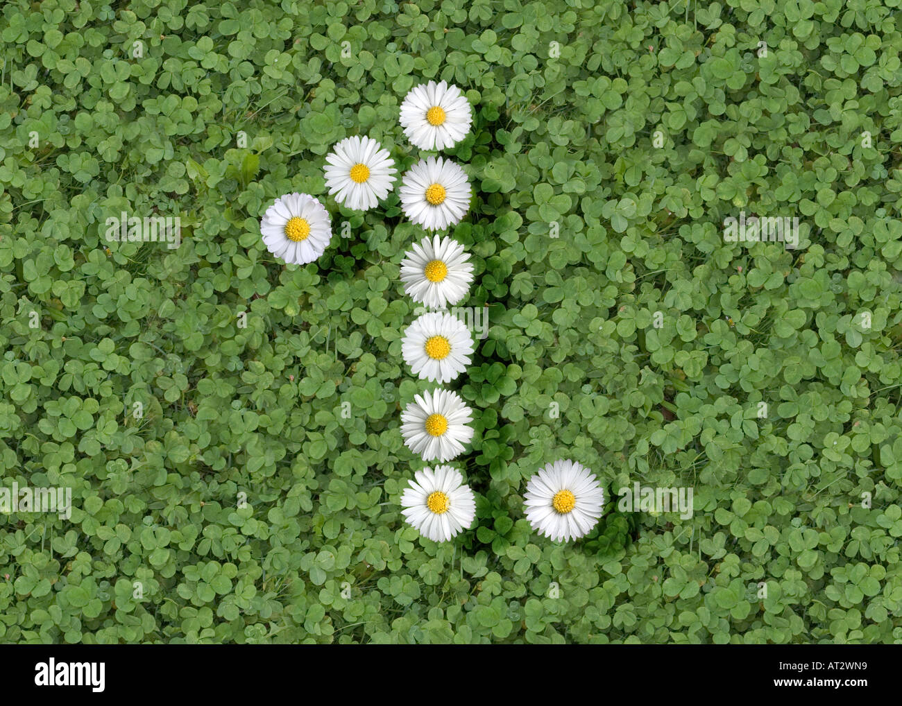 Numbers 1st hi-res stock photography and images - Alamy