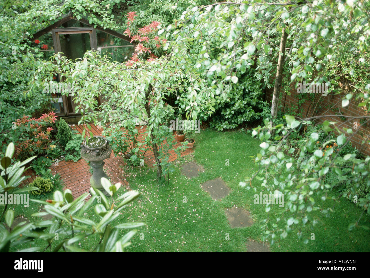 Aerial view of small trees and path across lawn in walled garden with ...