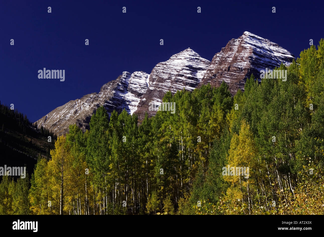 Maroon Bells and Aspen trees with fall colors Aspen White River ...