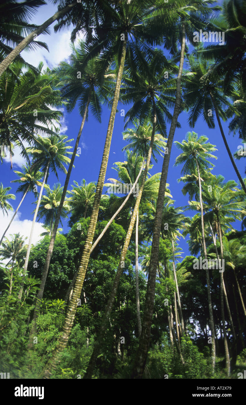 Hane Huka Marquesas Islands French Polynesia Stock Photo - Alamy
