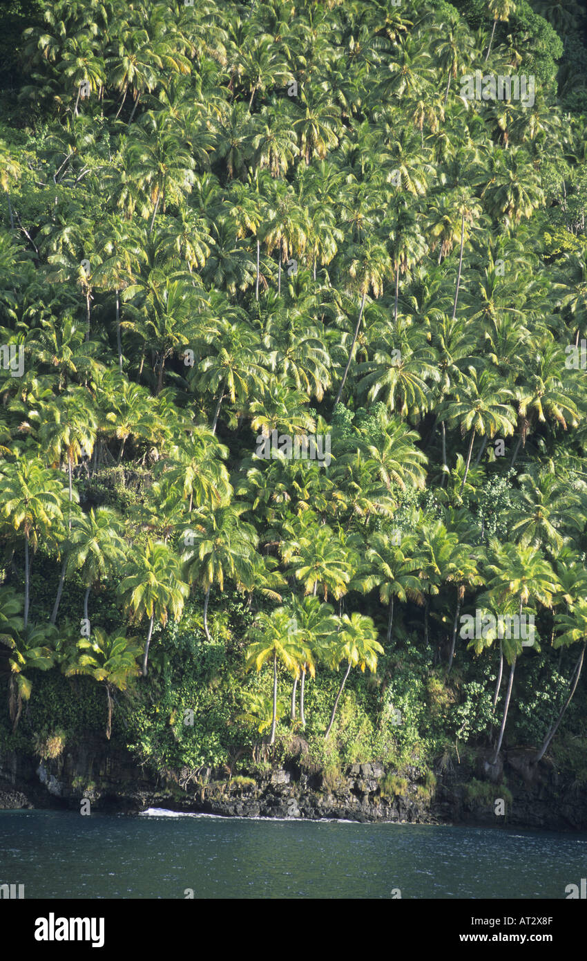 Omoa bay Fatu Hiva Marquesas Islands French Polynesia Stock Photo - Alamy