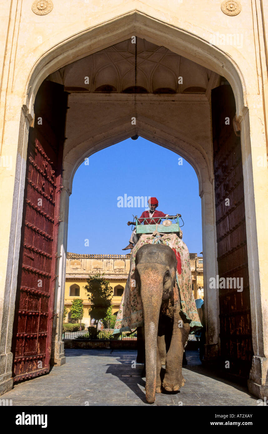 Transporting elephants hi-res stock photography and images - Alamy