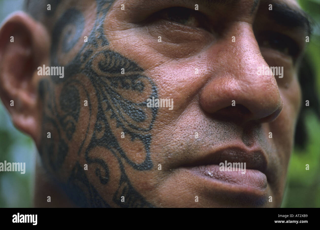 Marquesas polynesian tattoo hi-res stock photography and images - Alamy