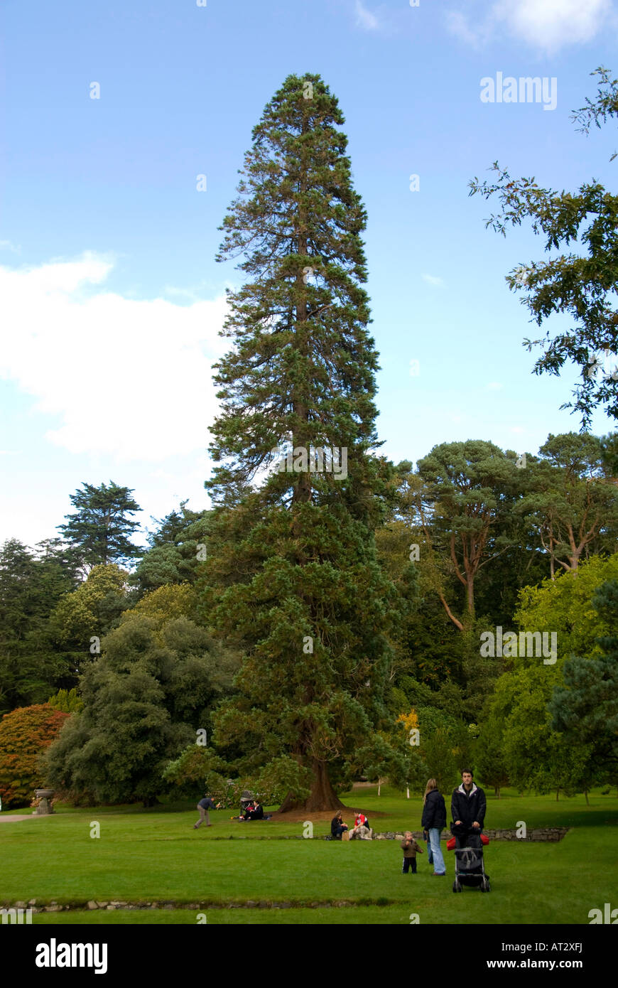 Northern Ireland Mount Stewart House and Gardens Temple of the Winds ...