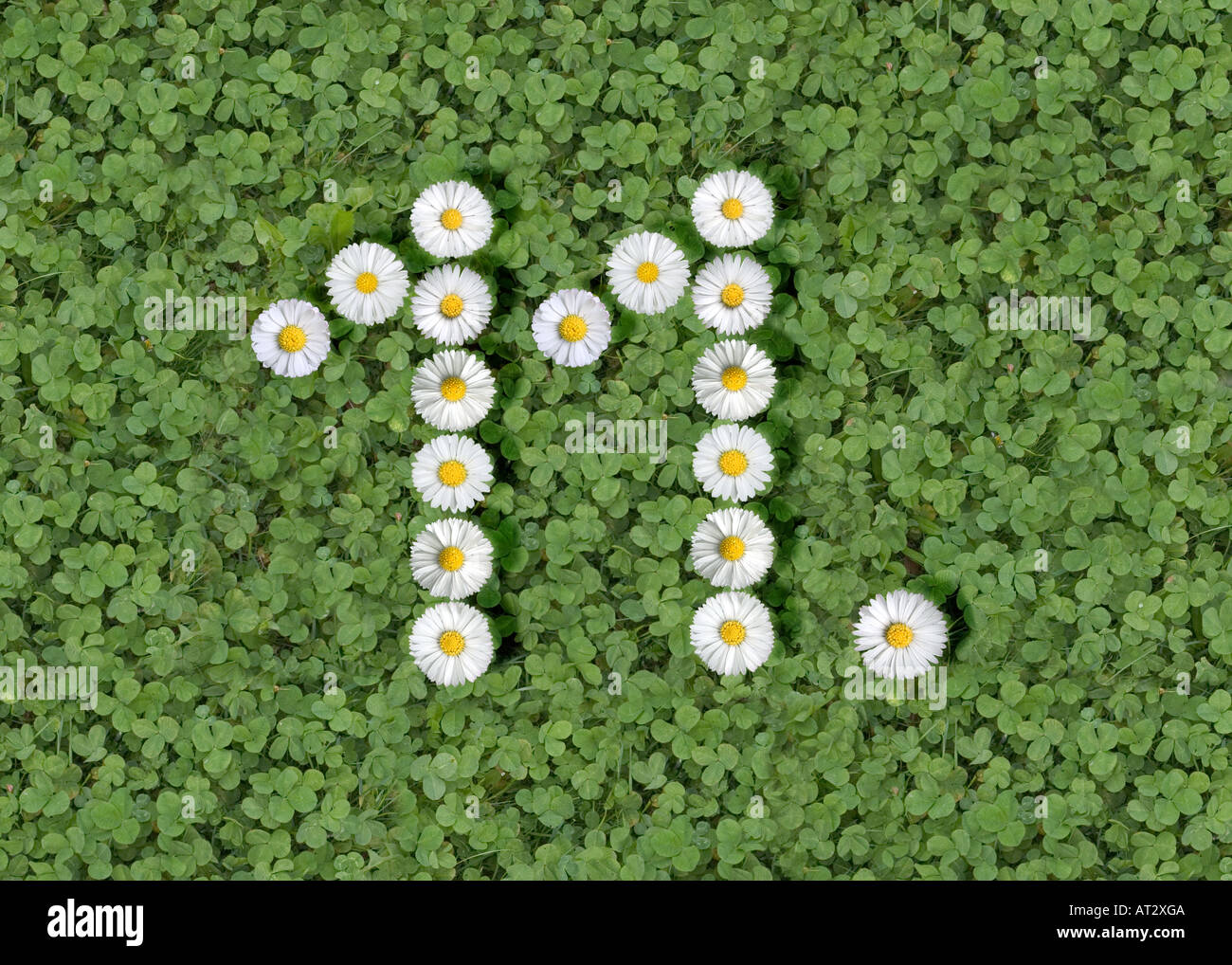 Number 11 written flowers hi-res stock photography and images - Alamy