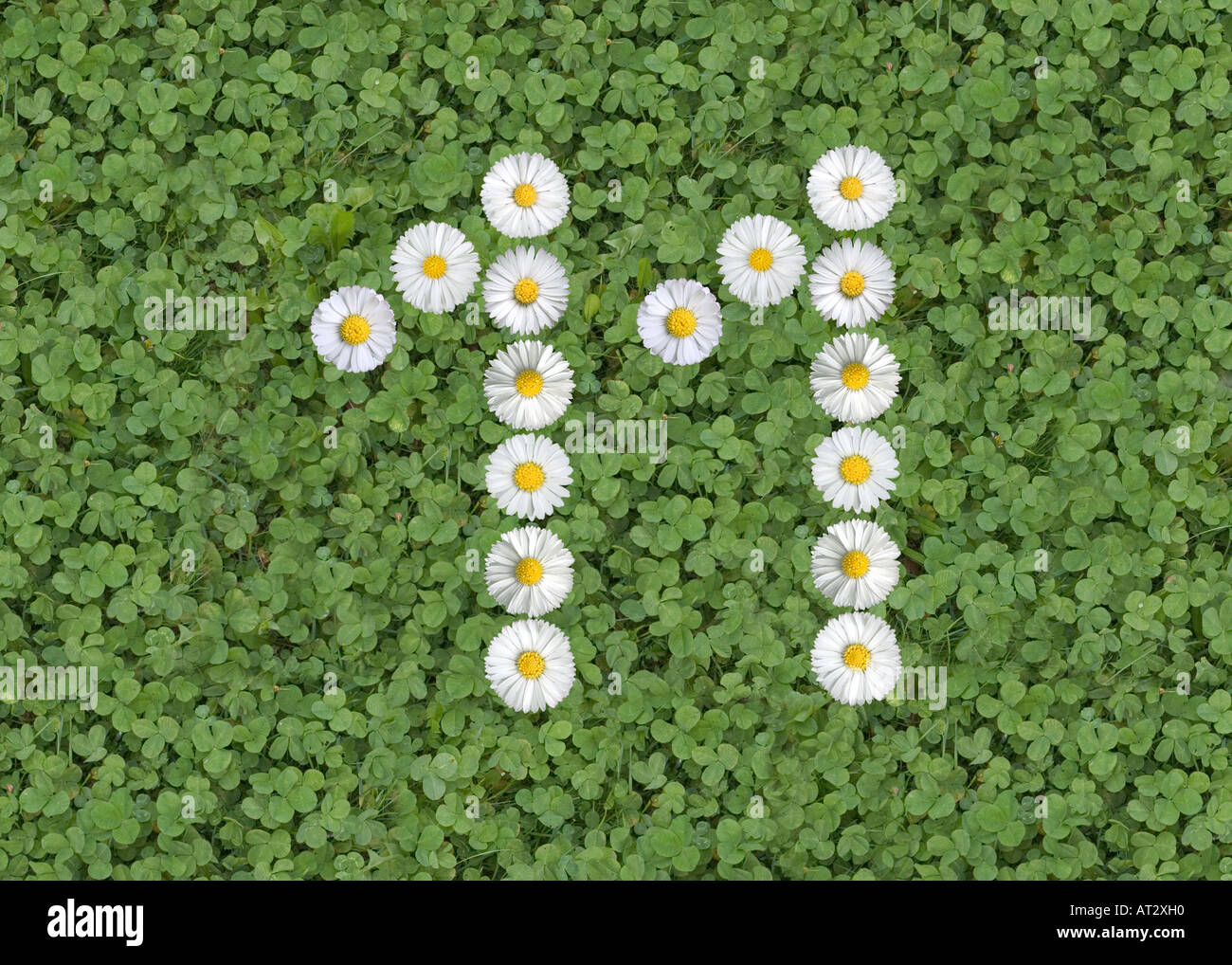 Number 11 written flowers hi-res stock photography and images - Alamy