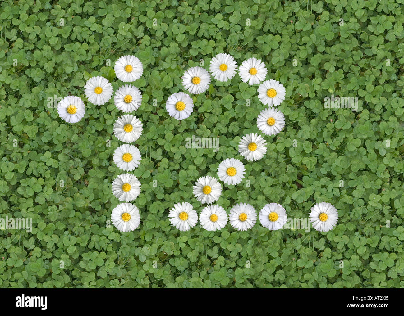 Number 12 written flowers hi-res stock photography and images - Alamy