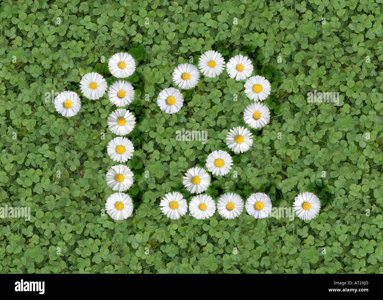 Number 12 written flowers hi-res stock photography and images - Alamy