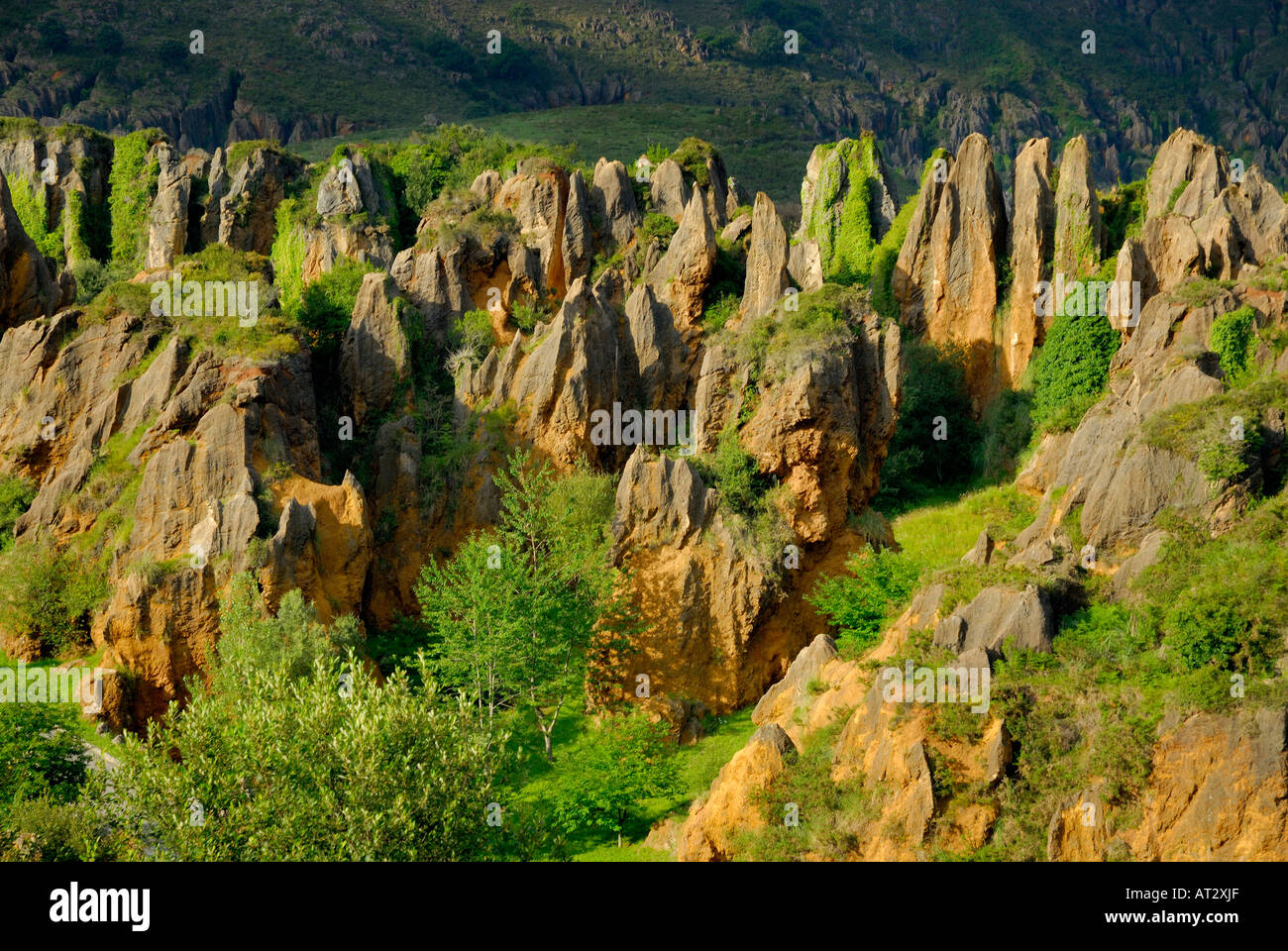 Parque de la naturaleza cabarceno hi-res stock photography and images ...