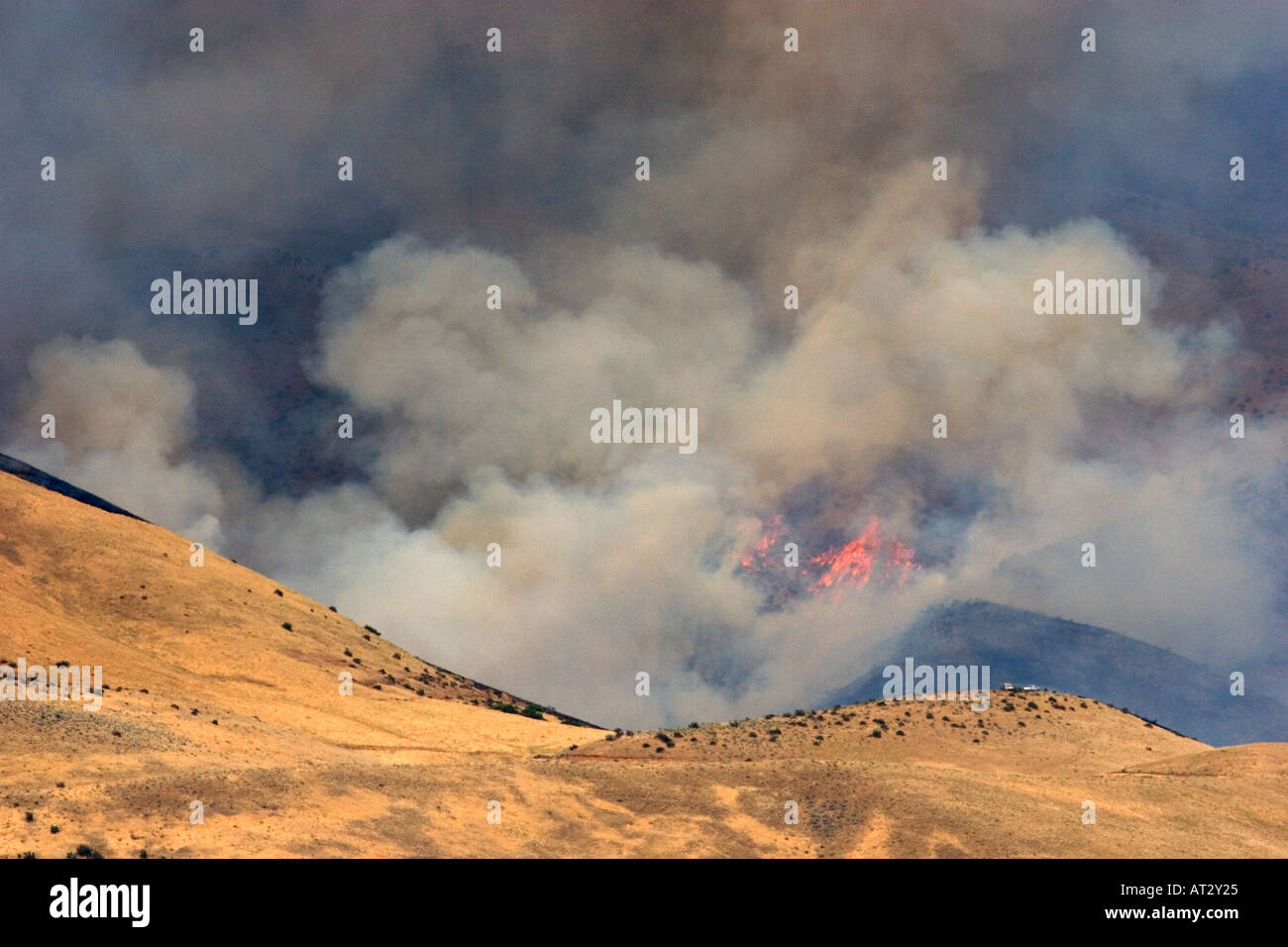 The Homestead Wildfire in the Boise foothills, Idaho Stock Photo - Alamy