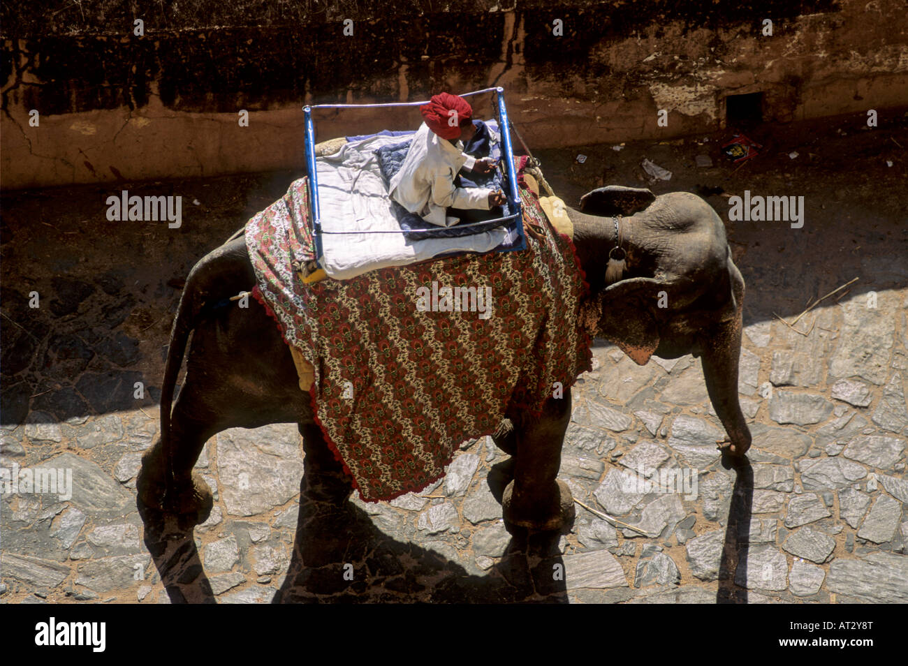 Indian elephants transporting tourists to the hilltop Amber Palace ...