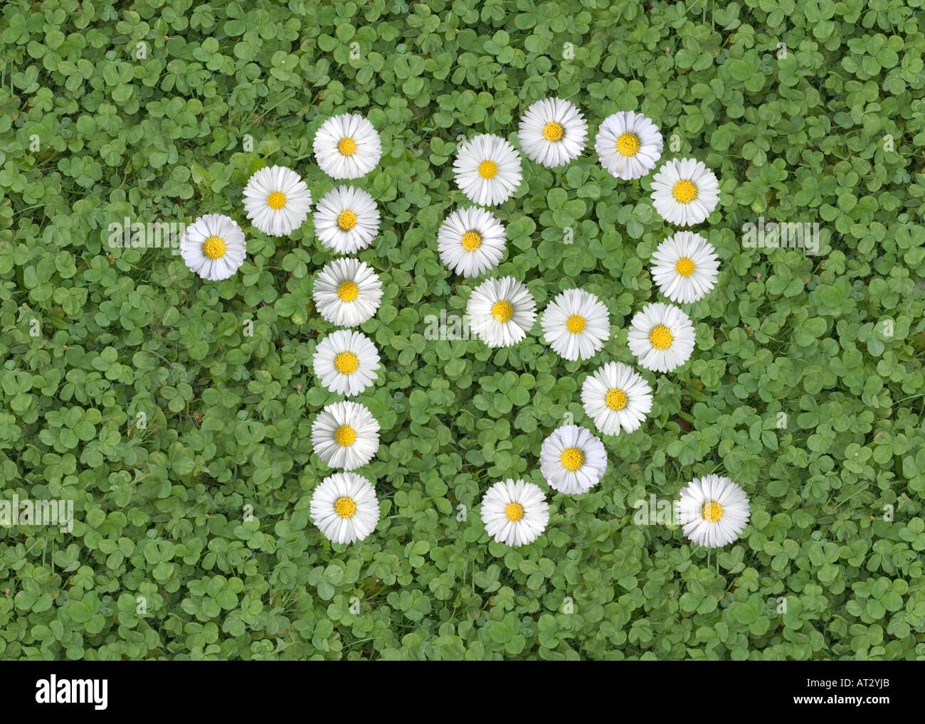 19 flowers hi-res stock photography and images - Alamy