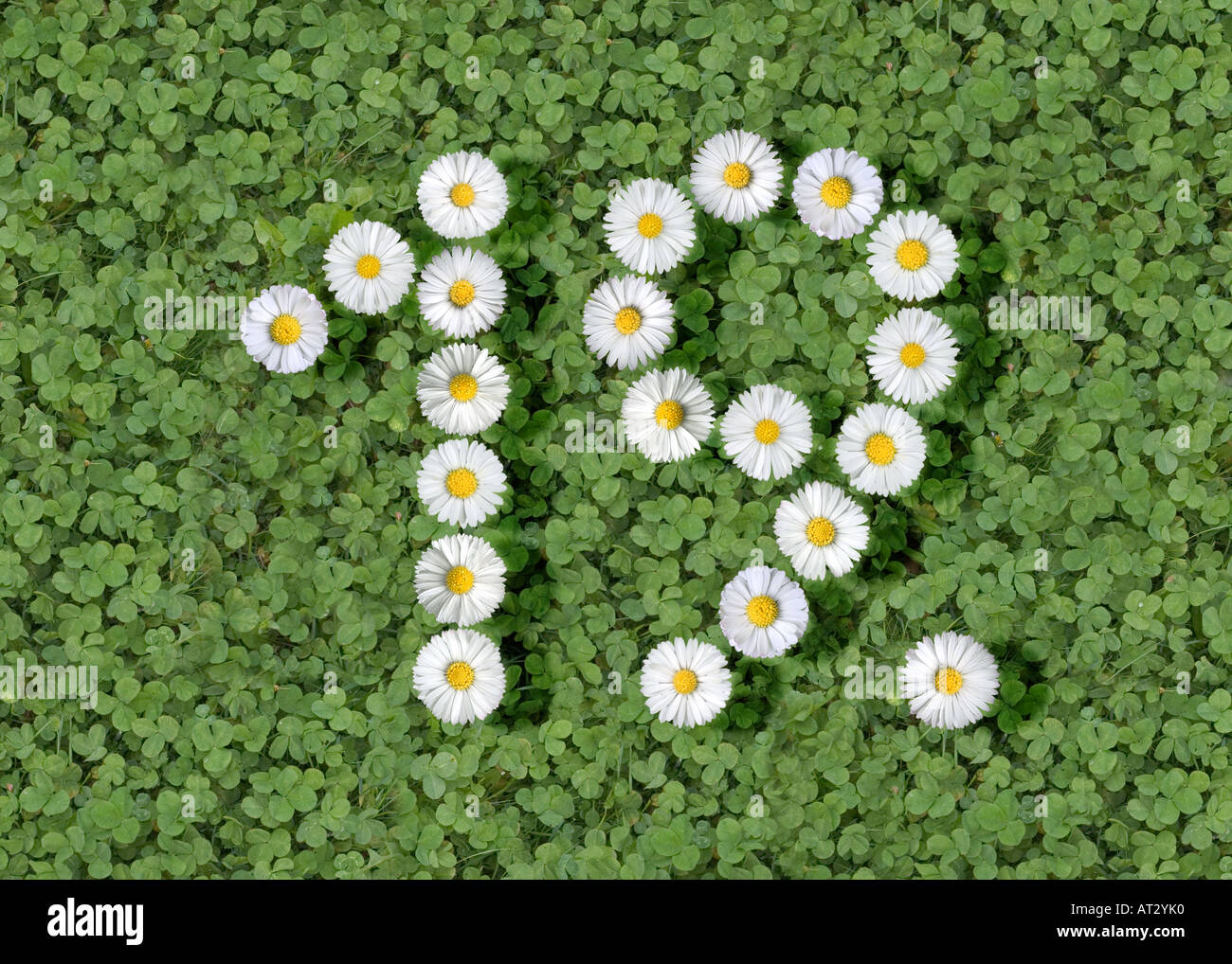 19 flowers hi-res stock photography and images - Alamy
