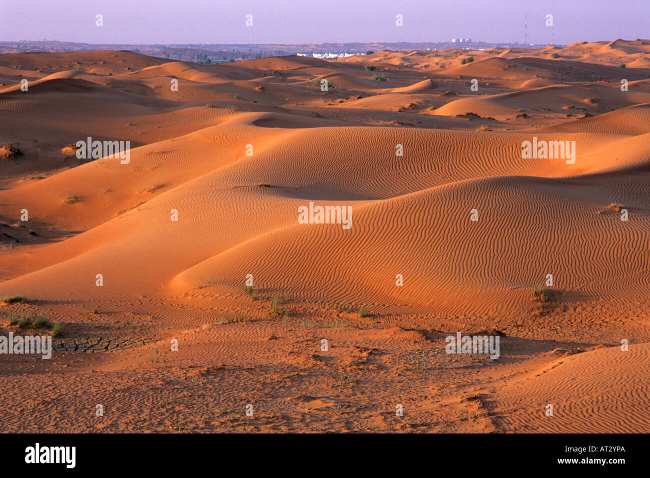 Sand dunes at Al Hayer near Dubai United Arab Emirates Stock Photo - Alamy